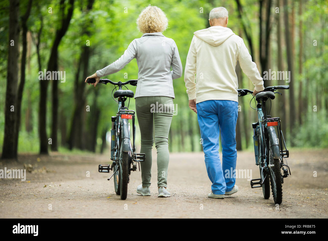 Rear view of tired cyclists walking down forest road with their ...