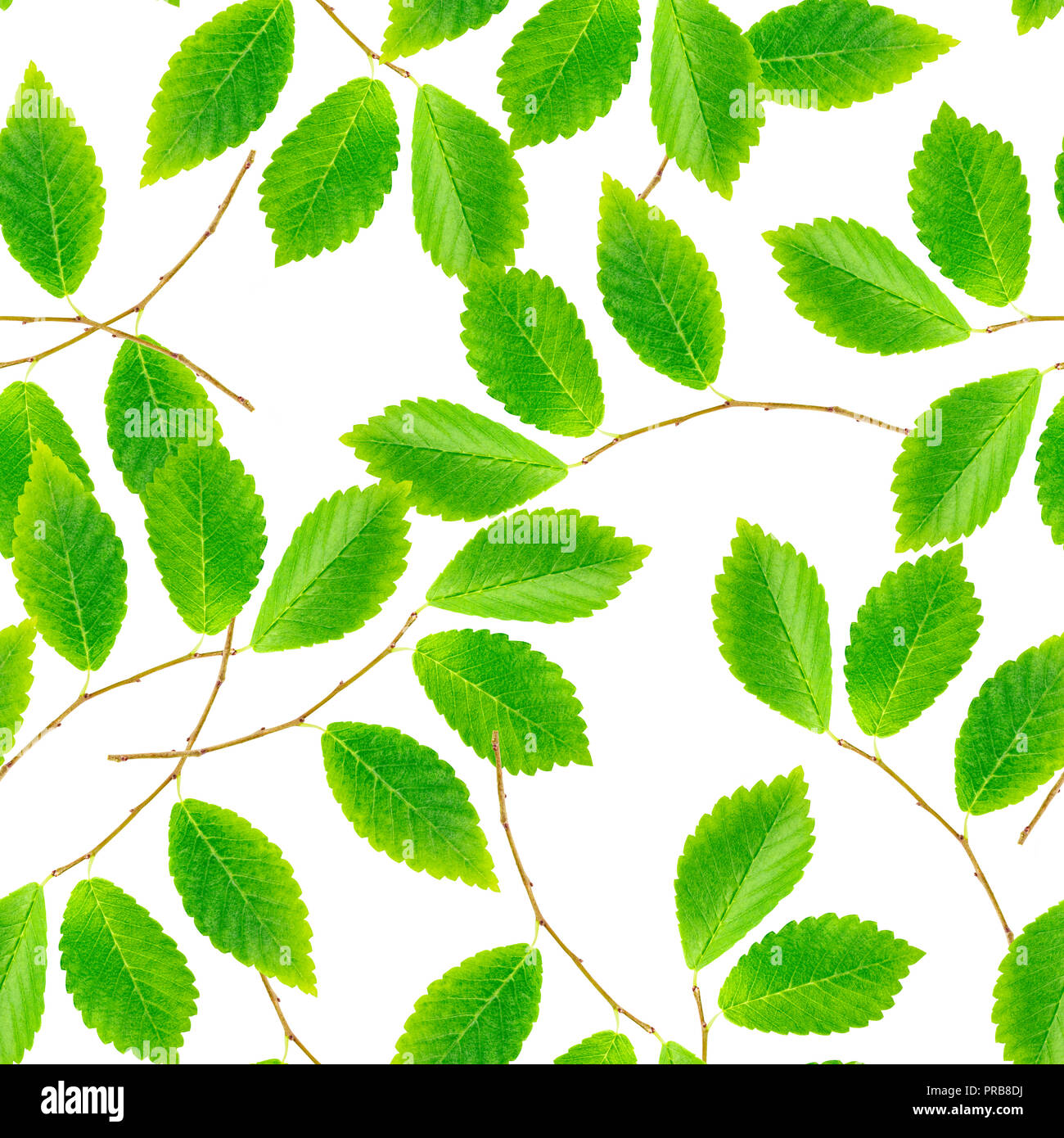 Green Leaf Background Repeating