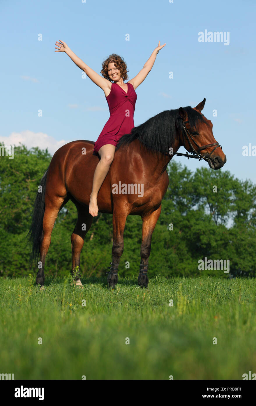 Woman enjoying while horseback riding Stock Photo - Alamy