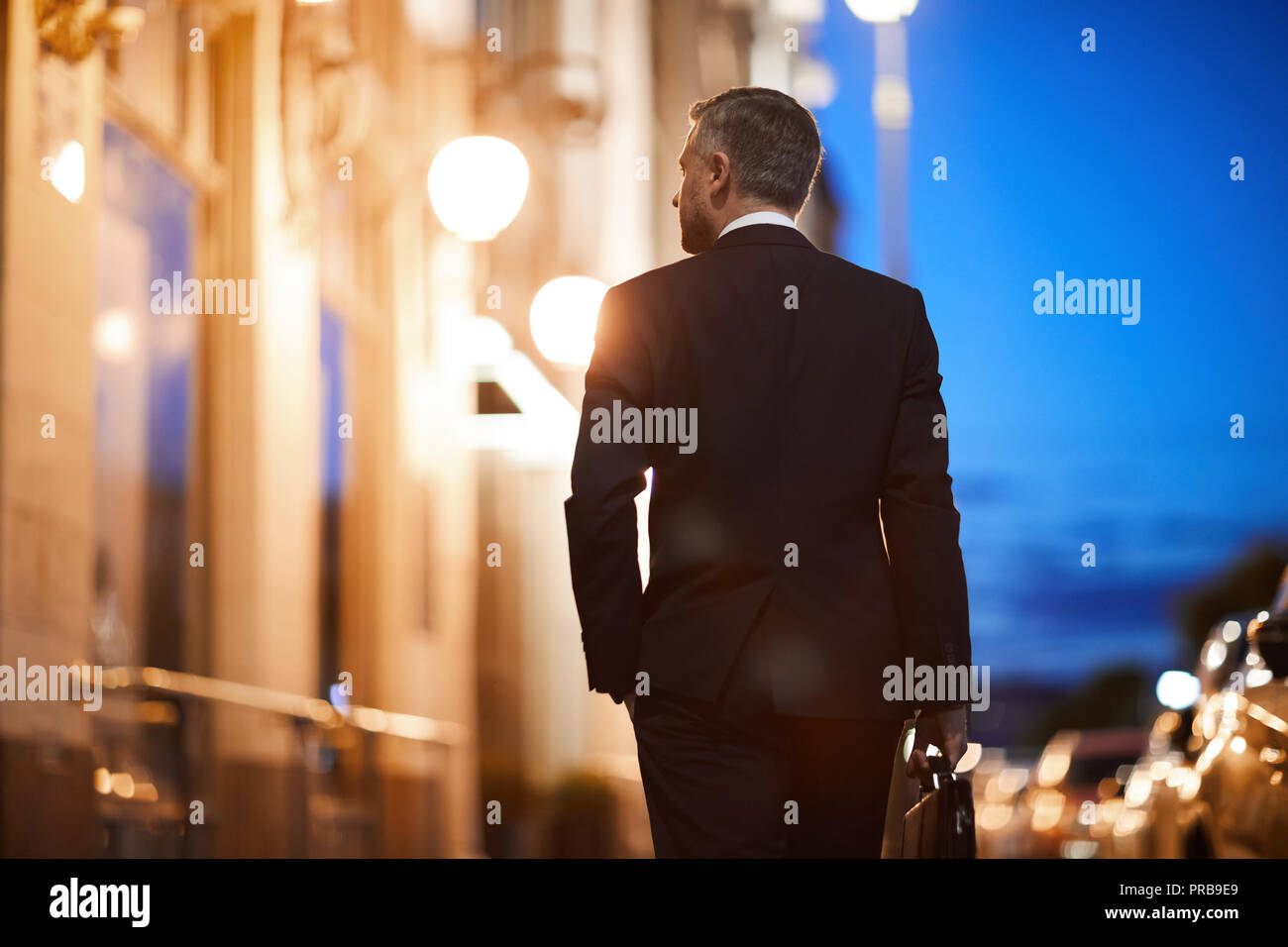 Back view of elegant businessman in suit carrying briefcase while ... Back view of elegant businessman in suit carrying briefcase while ...
