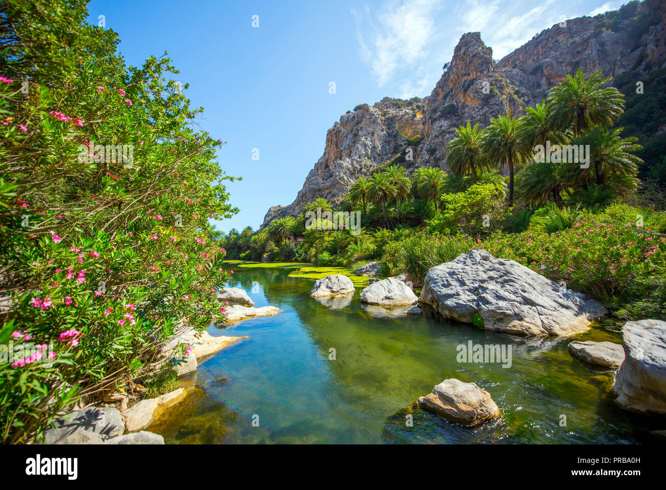 Oasis with river and palm trees Stock Photo - Alamy