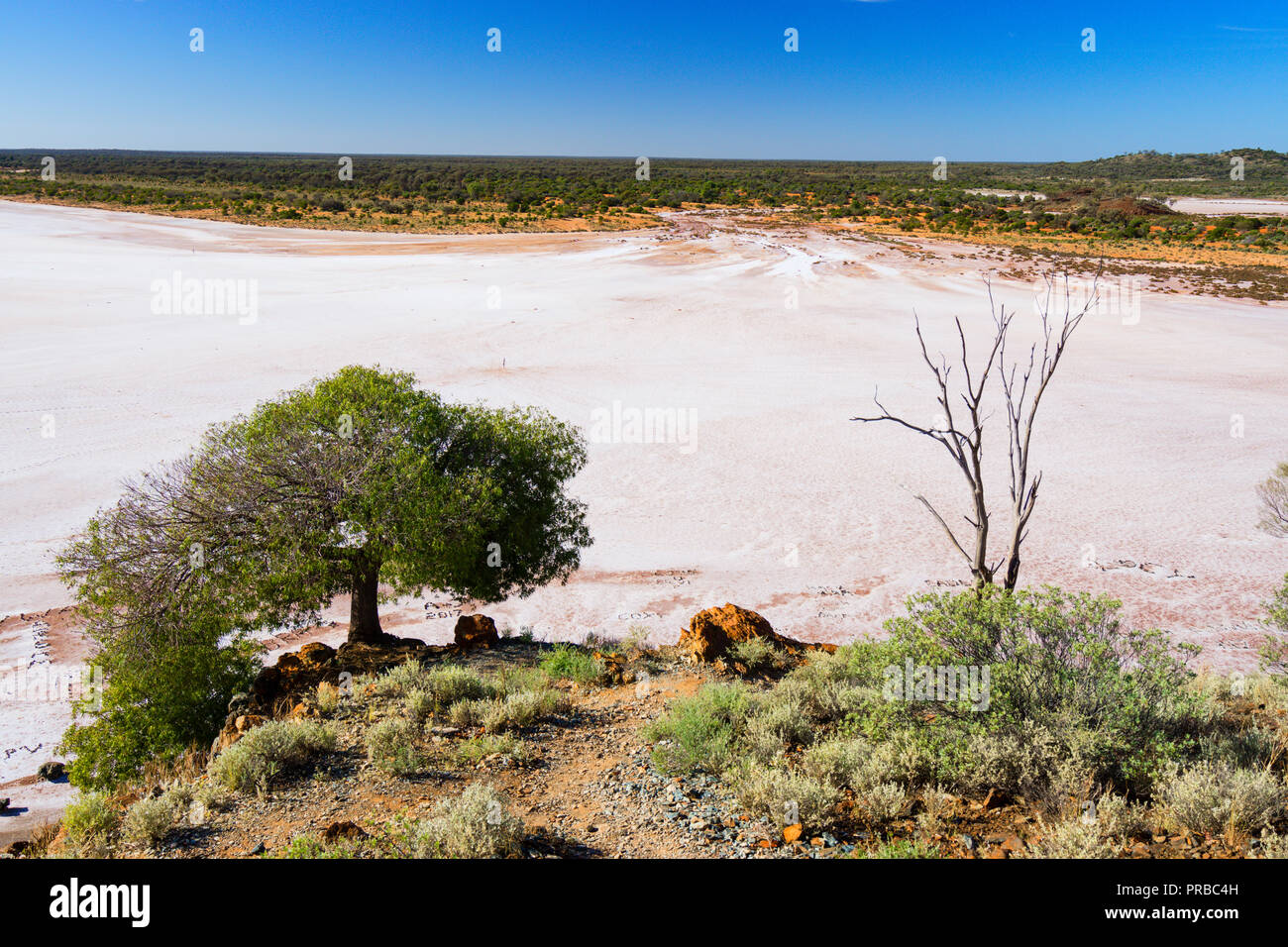 View of Lake Ballard from the summit of Snake Hill Stock Photo - Alamy