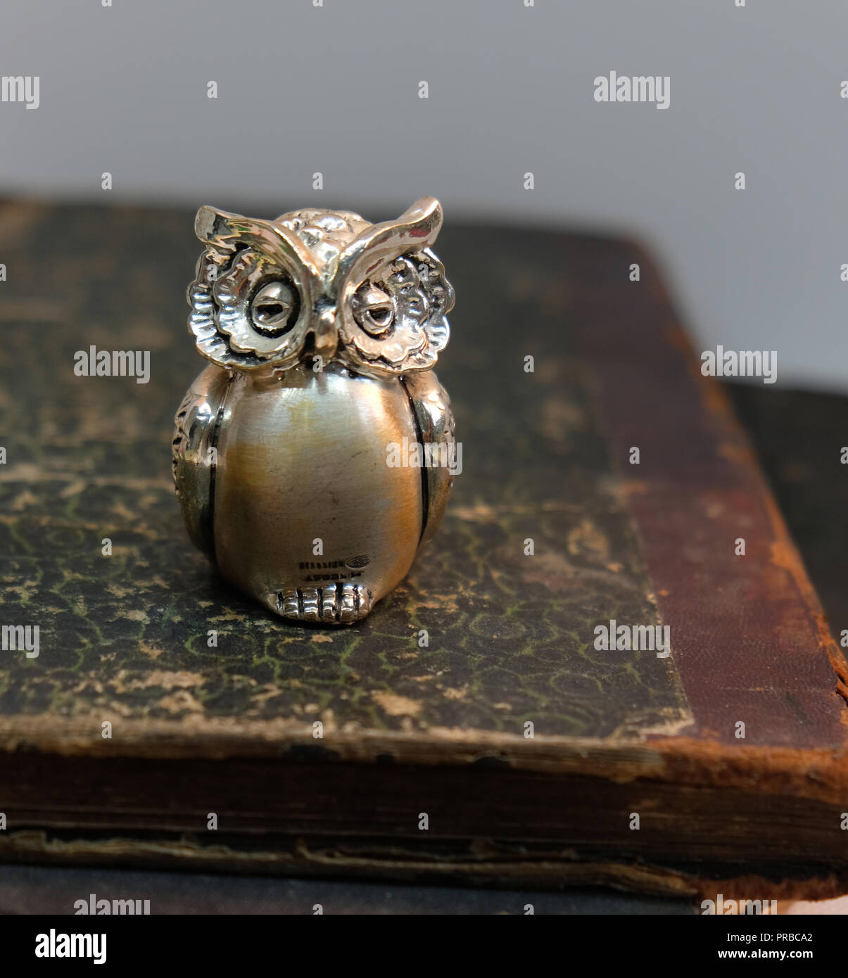 The silver figure of an owl standing on the cover of an old book Stock ...