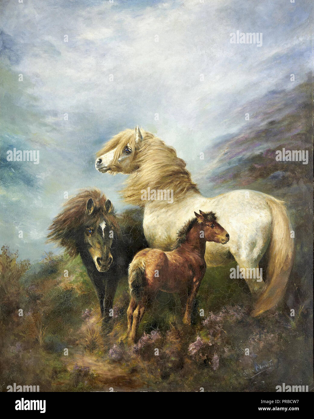 Cheviot painting hi-res stock photography and images - Alamy