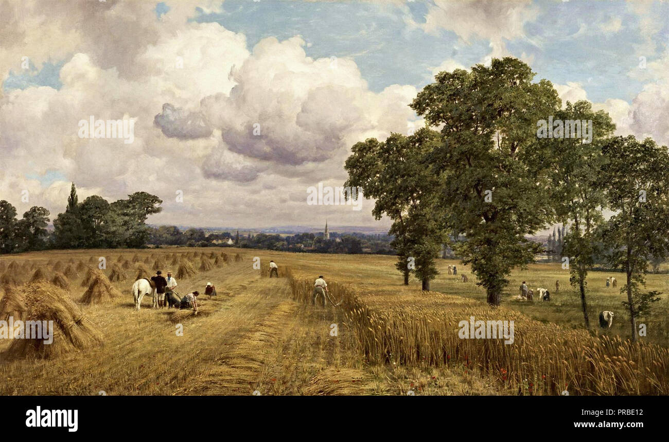 George cole field hi-res stock photography and images - Alamy