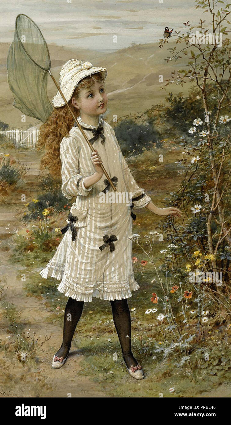Butterfly Catching Equipment