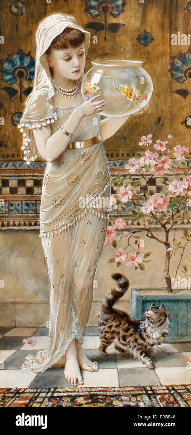 William the goldfish hi-res stock photography and images - Alamy