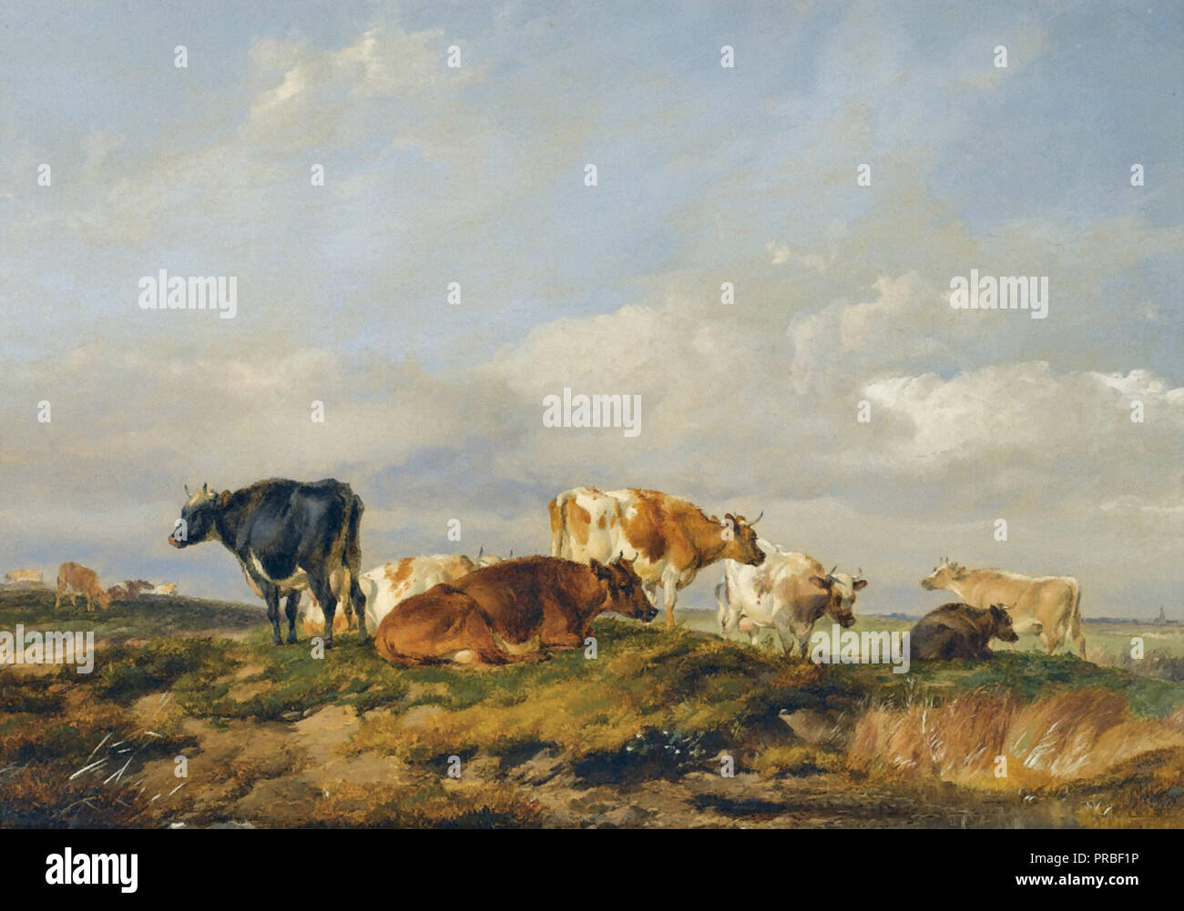 Cooper Thomas Sidney - Cattle in a Kent Meadow Stock Photo - Alamy