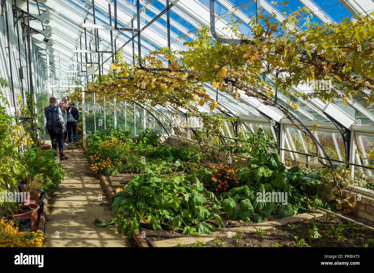 Vinehouse hi-res stock photography and images - Alamy