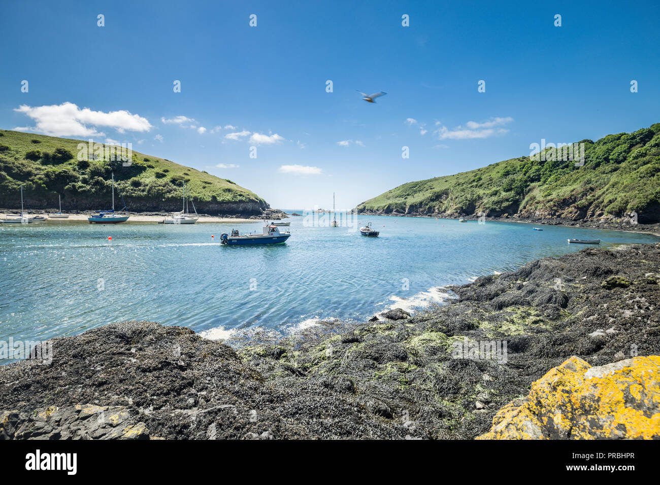 Scenic harbour at sunny summer day in Solva, Pembrokeshire, Wales Stock ...
