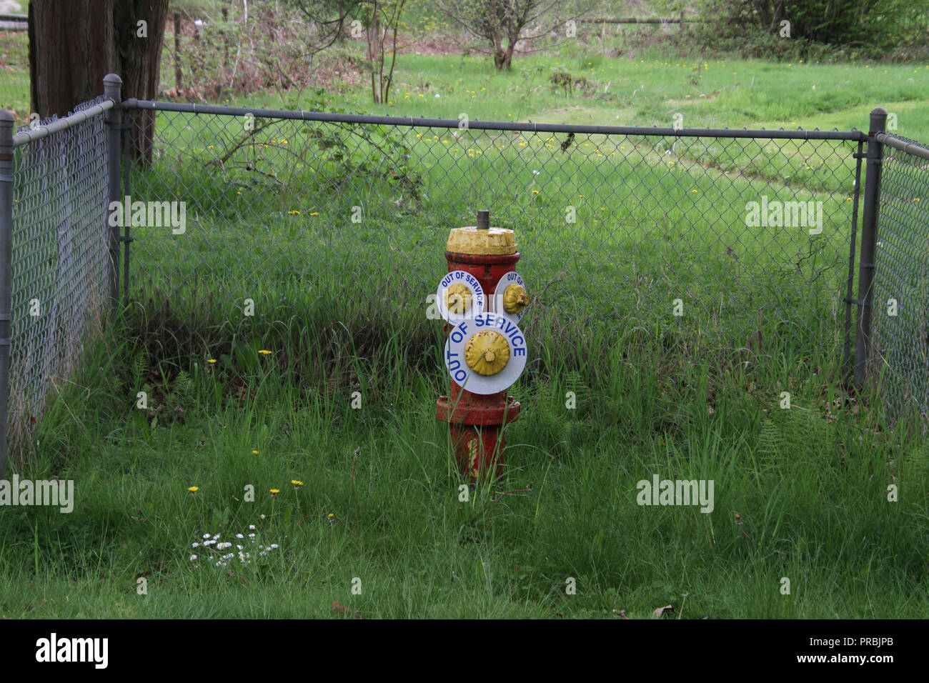 Red fire hydrant surrounded hi-res stock photography and images - Alamy