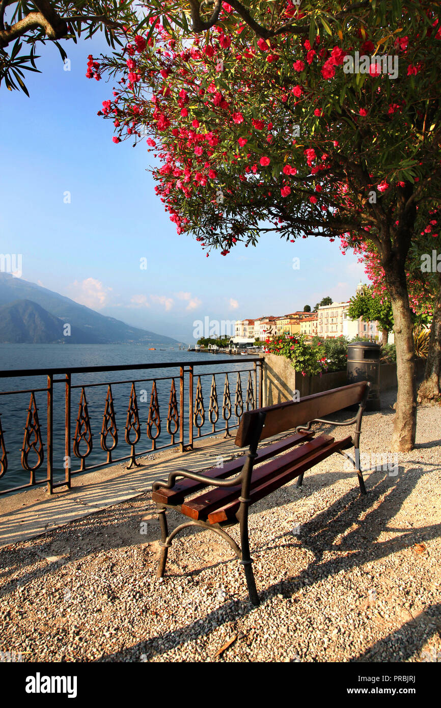 Stunning bench destination hi-res stock photography and images - Alamy