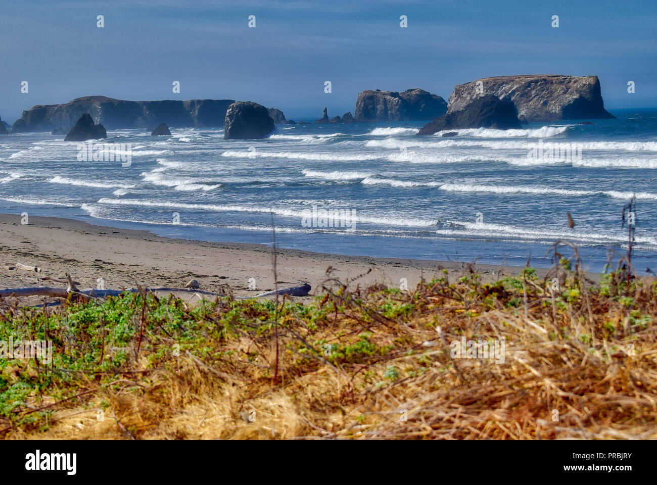 Oregon beaches hi-res stock photography and images - Alamy