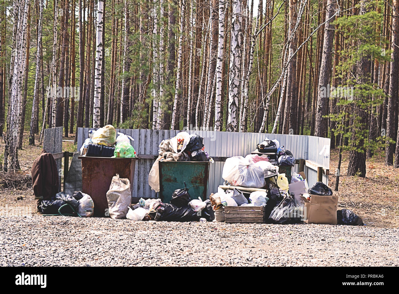 Litter box full of garbage in forest. Concept of ecology problem. Toned ...