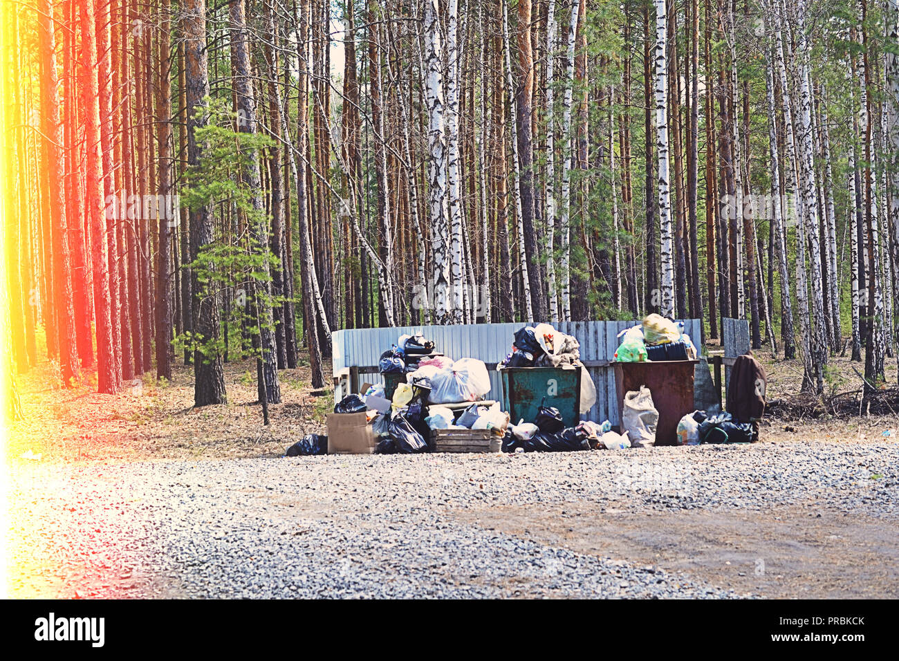 Litter box full of garbage in forest. Concept of ecology problem. Toned ...