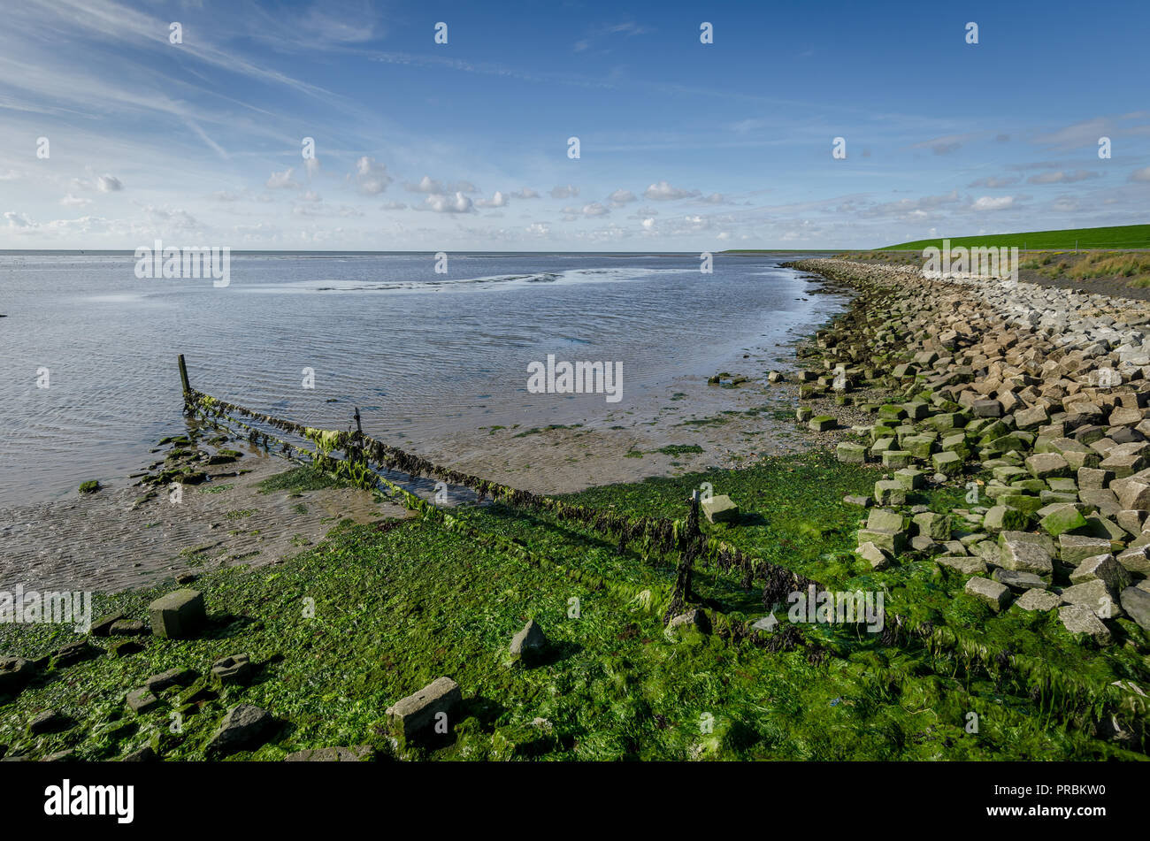 National park waddenzee hi-res stock photography and images - Alamy