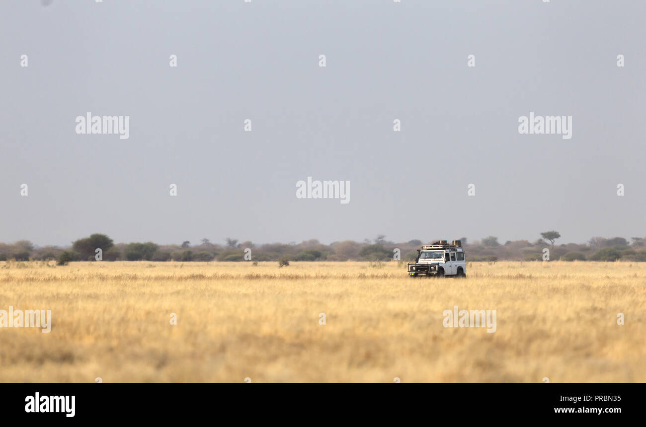 4x4 Vehicle in the Kalahari desert, Botswana Stock Photo - Alamy