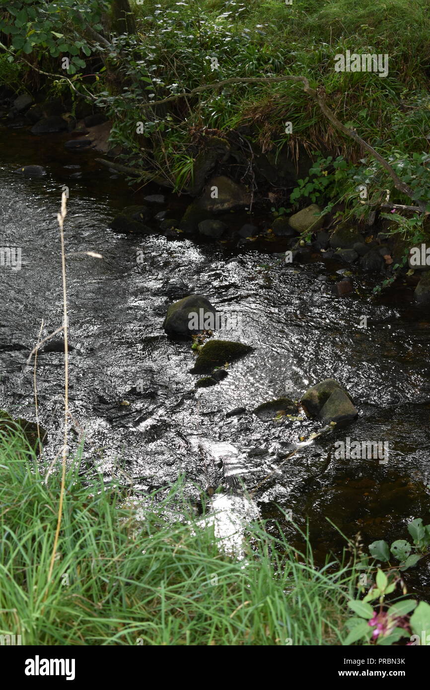 River Nidd Yorkshire Stock Photo - Alamy