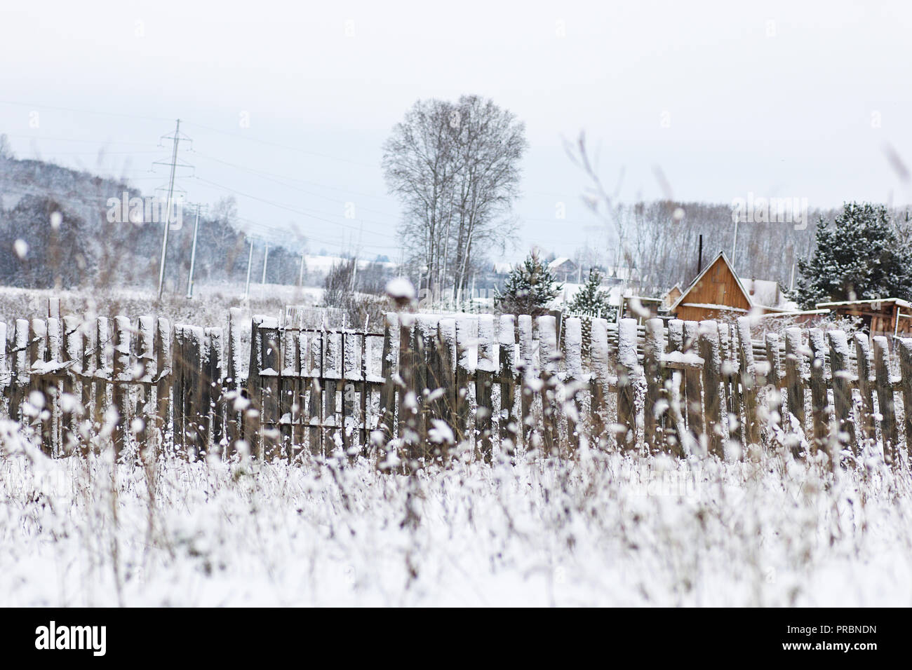 Landscape in the winter cloudy day of snow-covered fields and forests ...