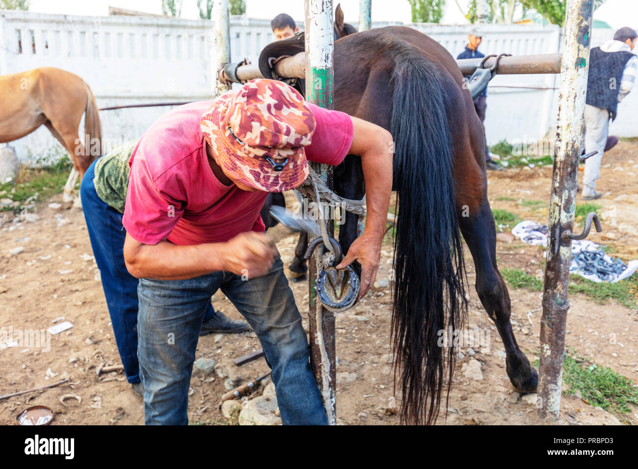 Central Asia, Kyrgyzstan, Karakol, Sunday animal market Stock Photo - Alamy