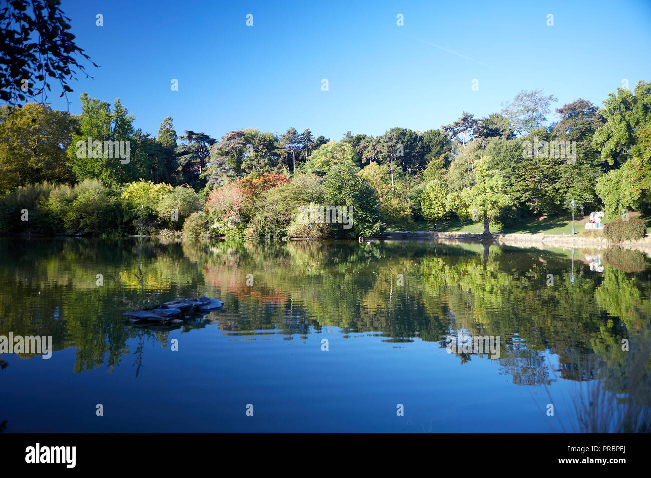 water reflection park green nature Stock Photo - Alamy