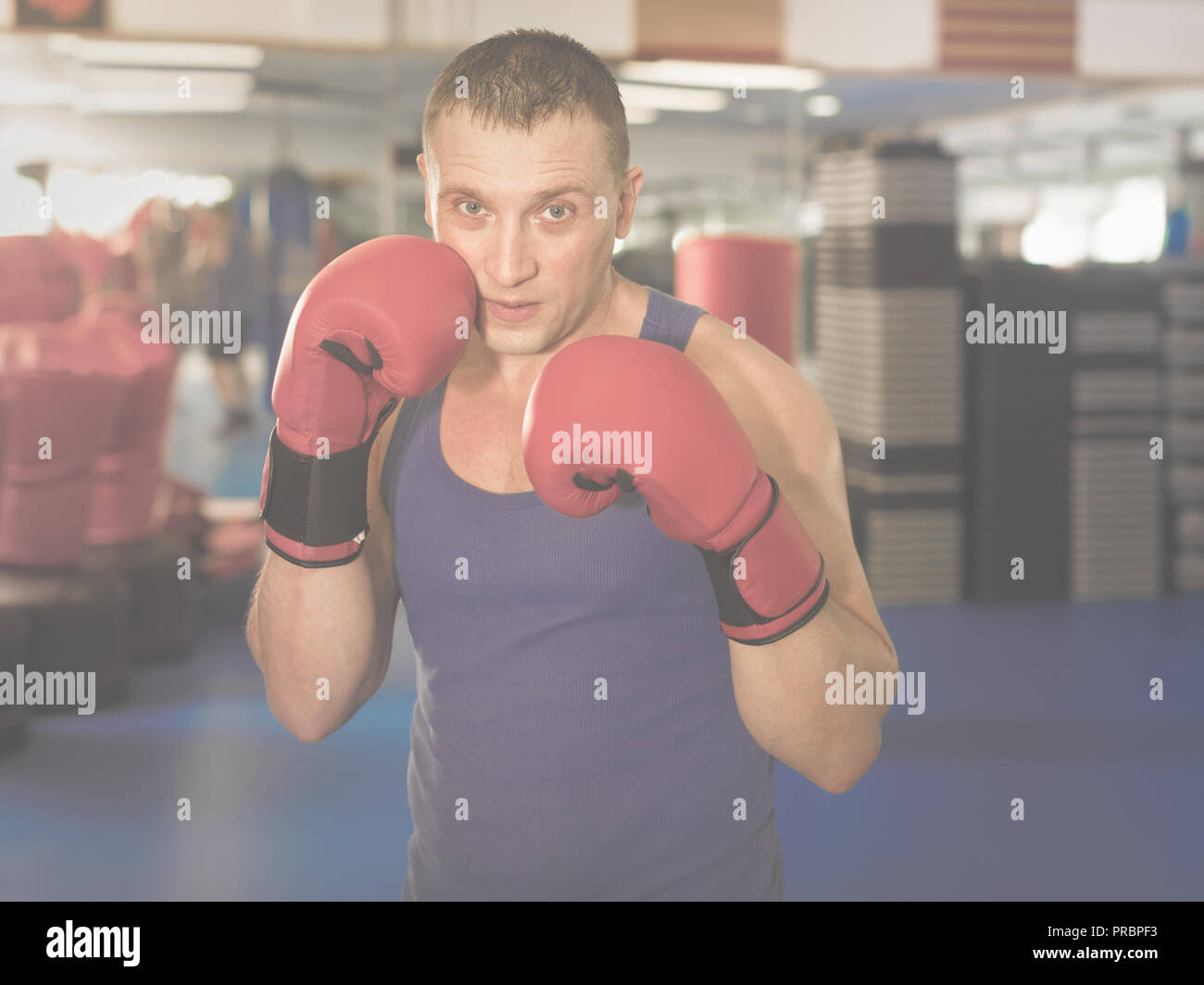 Young athletic male boxer trains hi-res stock photography and images ...
