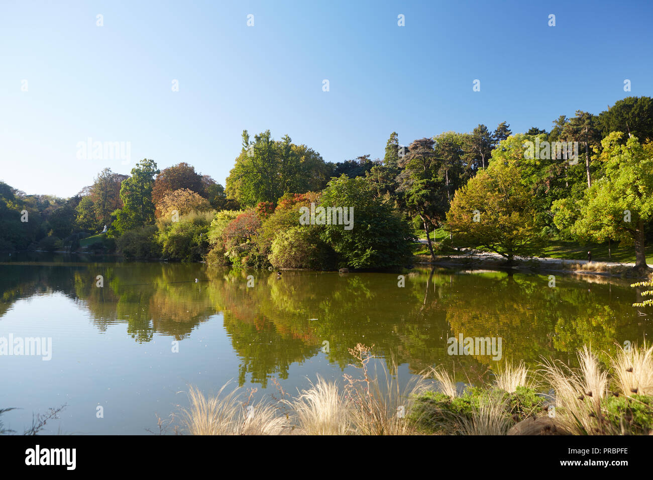 water reflection park green nature Stock Photo - Alamy