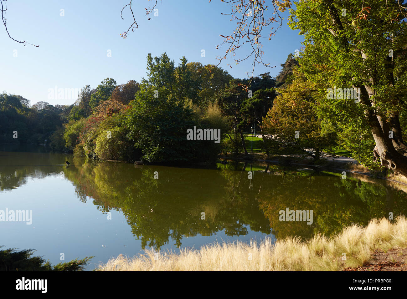 water reflection park green nature Stock Photo - Alamy