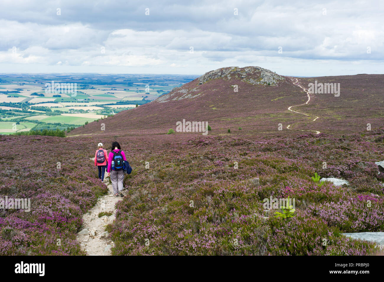 Bennachie Aberdeenshire Scotland, Path between Oxen Craig and Mither ...