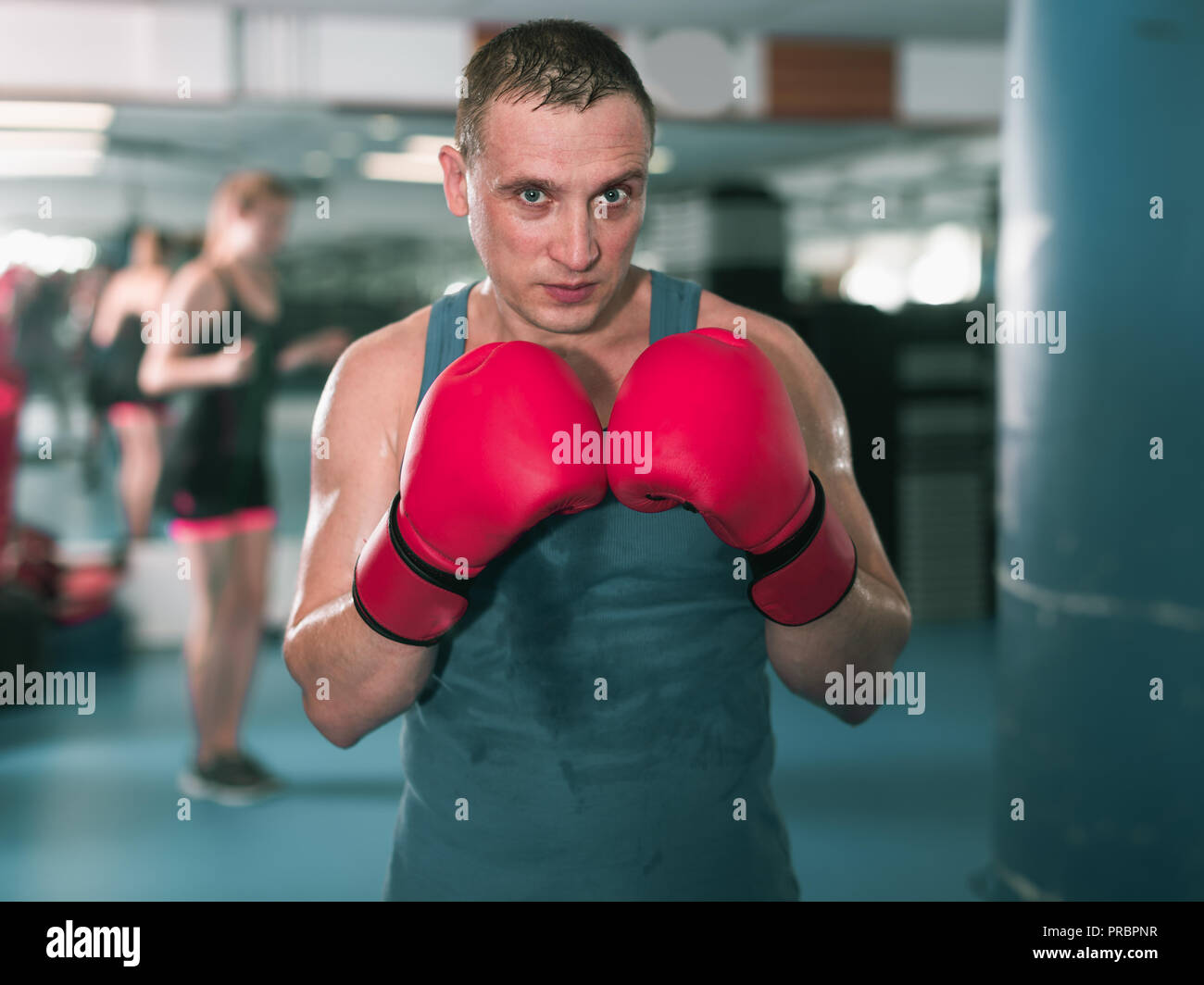 Portrait of adult male who is boxing in gym Stock Photo - Alamy