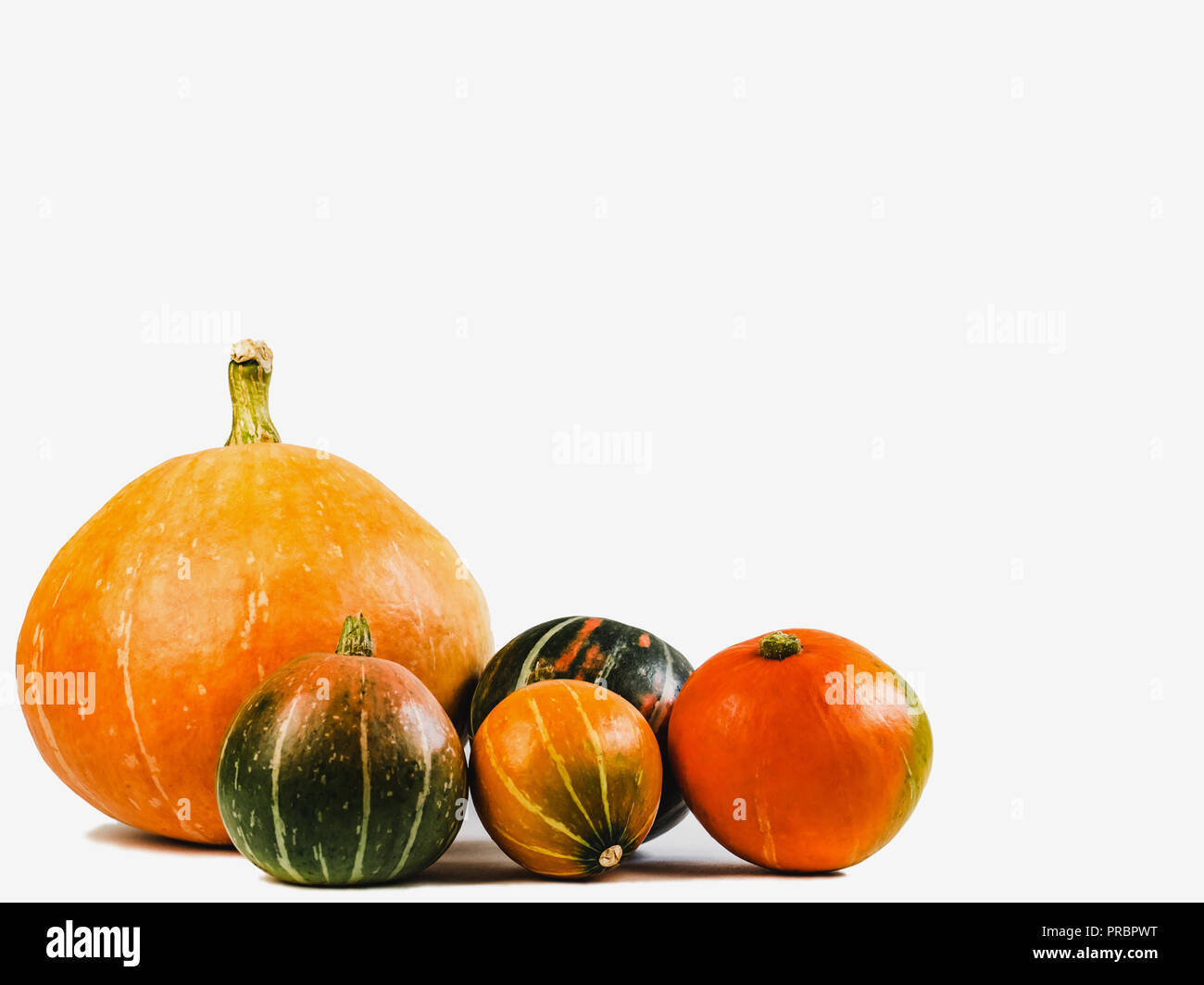 Beautiful, multi-colored pumpkins of various sizes. Isolated background ...