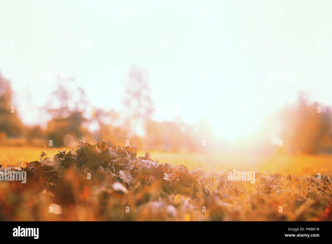 End of summer warm season in the park Stock Photo - Alamy