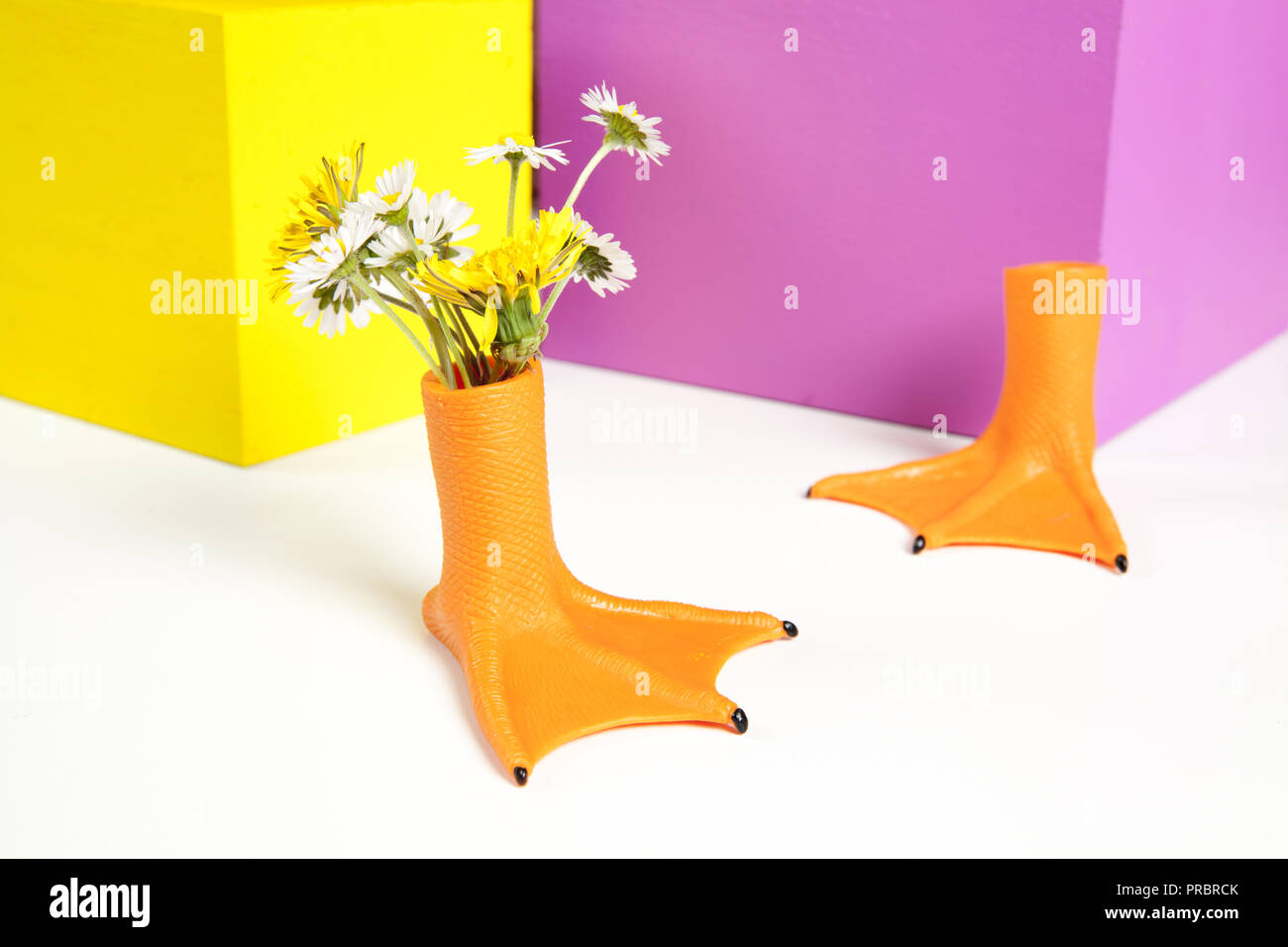 duck legs like vase with flowers inside and coloured cubes. Minimal ...