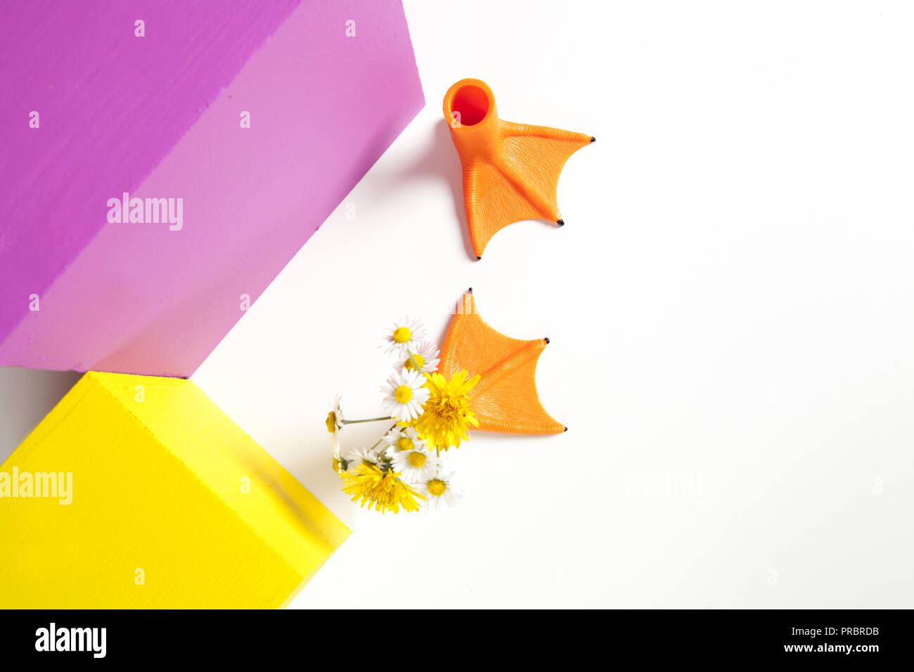 duck legs like vase with flowers inside and coloured cubes. Minimal ...