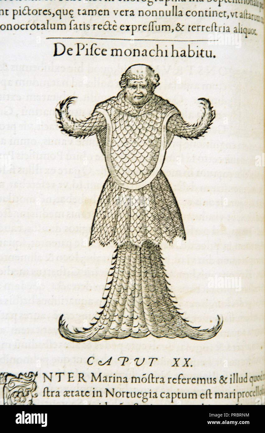 Half monk half fish hi-res stock photography and images - Alamy