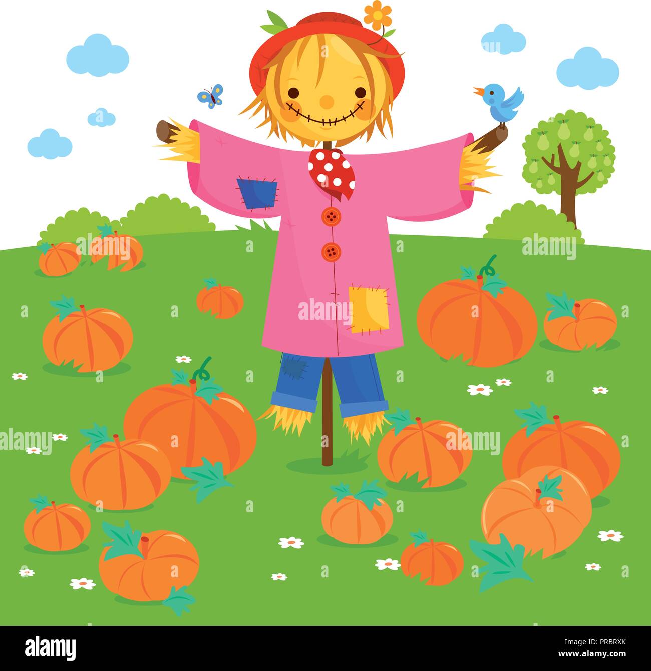 Rural landscape with pumpkin field and a scarecrow. Vector illustration ...