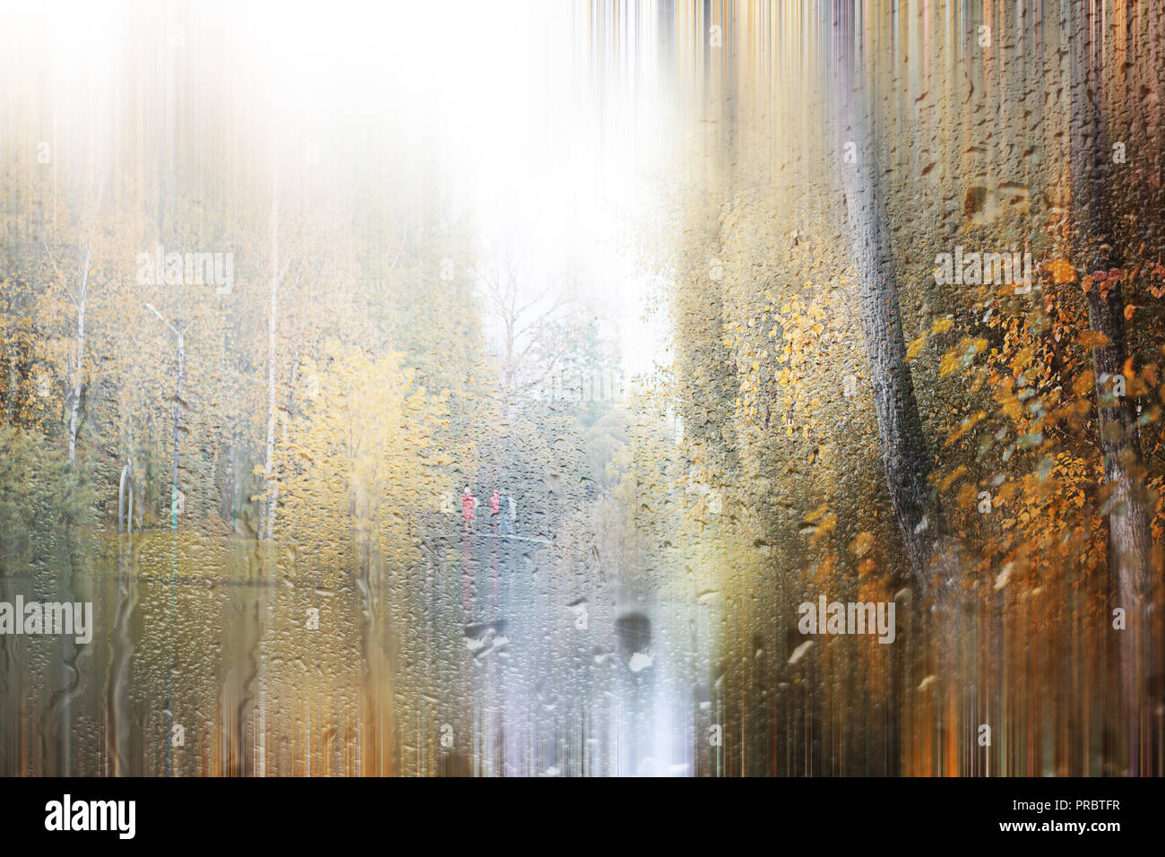 Background autumn rain in the park during the day Stock Photo - Alamy