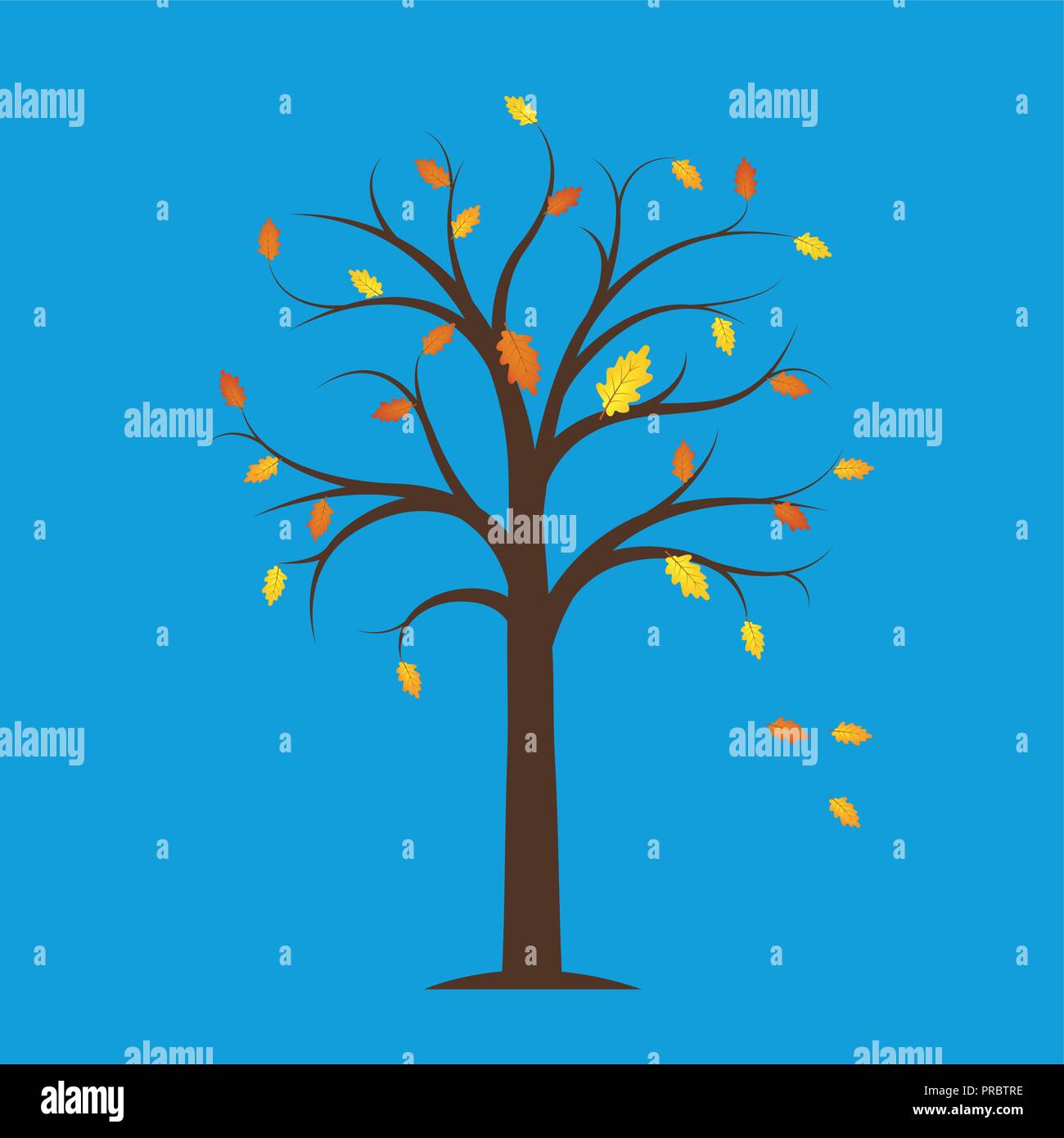 Yellow leaf on fallen Stock Vector Images - Alamy
