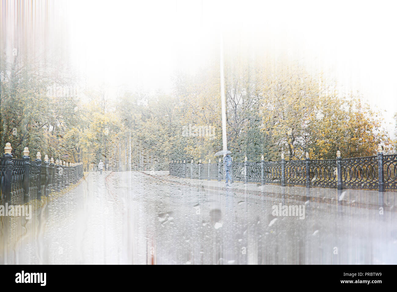 Background autumn rain in the park during the day Stock Photo - Alamy