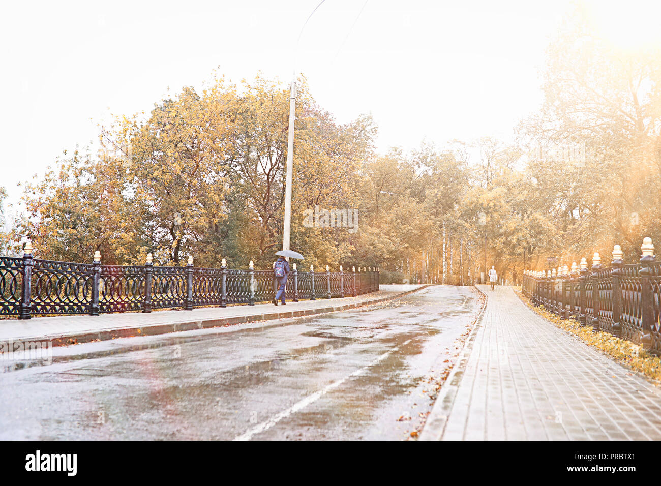 Autumn rain in the park during the day Stock Photo - Alamy