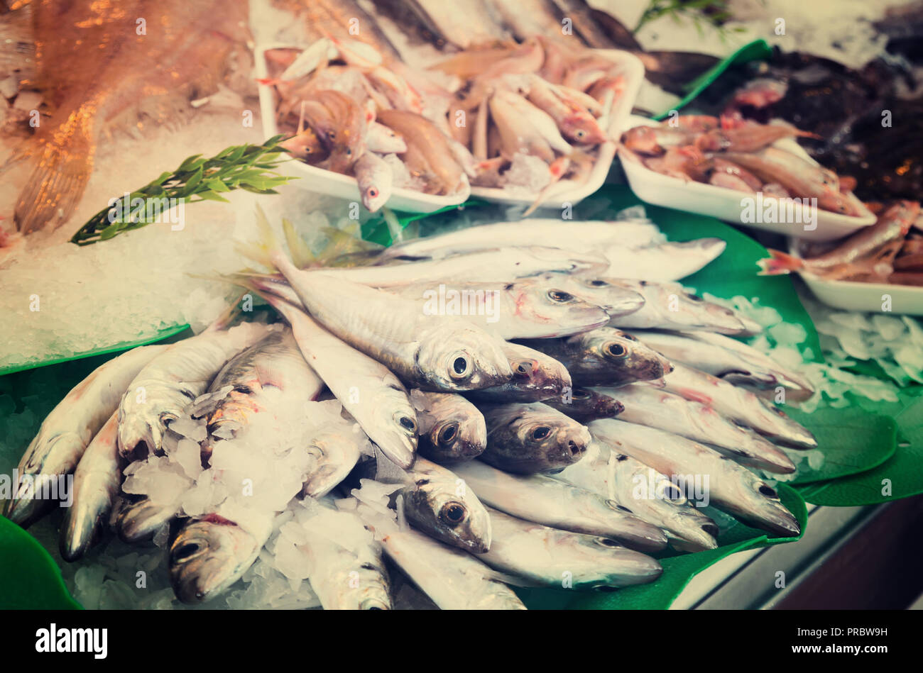 fish on counter of seafood market in spain Stock Photo - Alamy