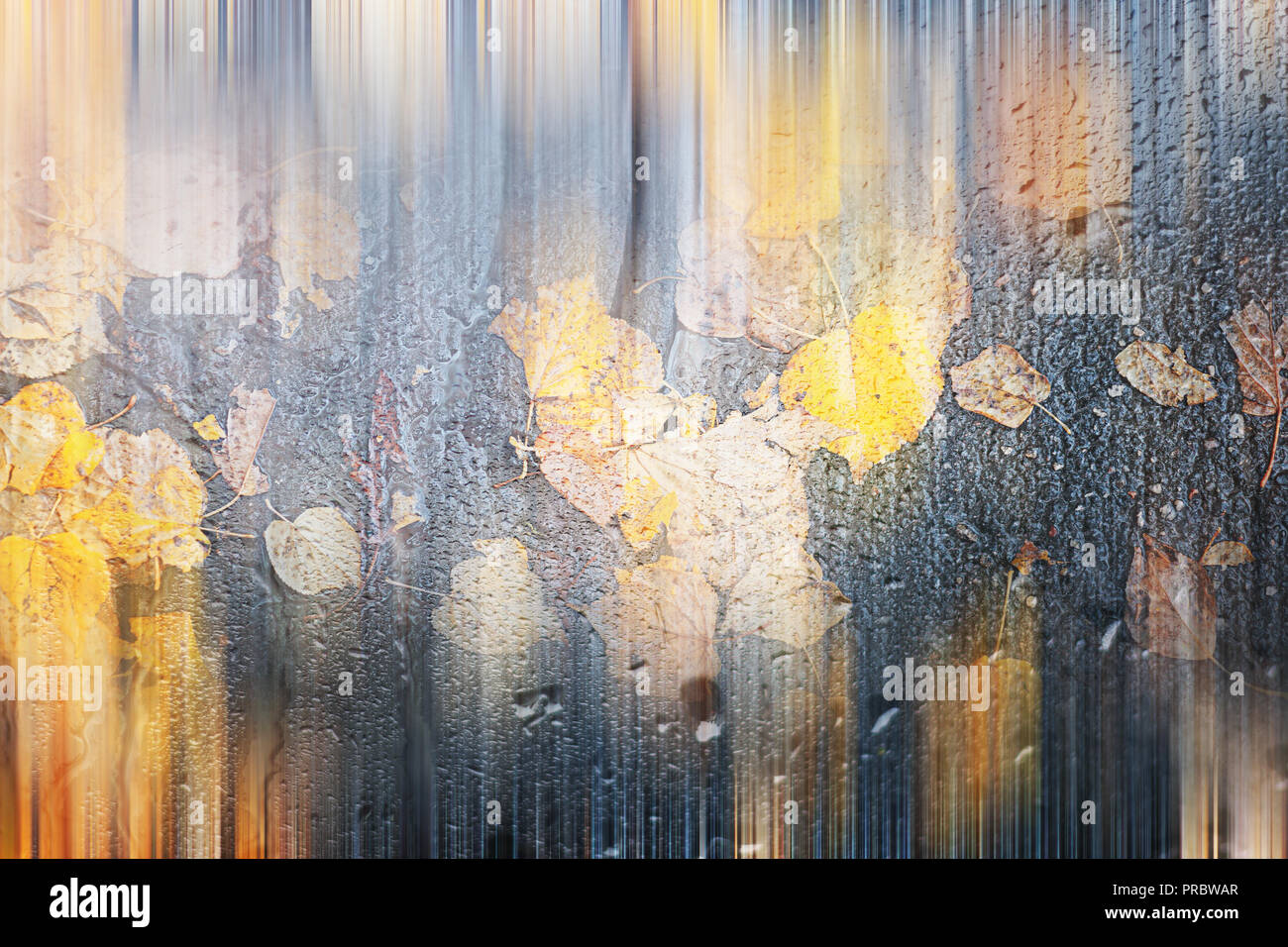 Background autumn rain in the park during the day Stock Photo - Alamy