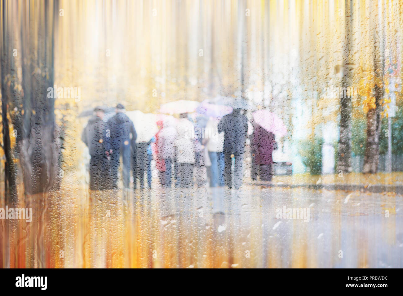 Background autumn rain in the park during the day Stock Photo - Alamy