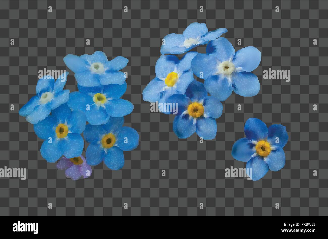 Blue forget me not spring flowers. Decorative elements vector set Stock ...