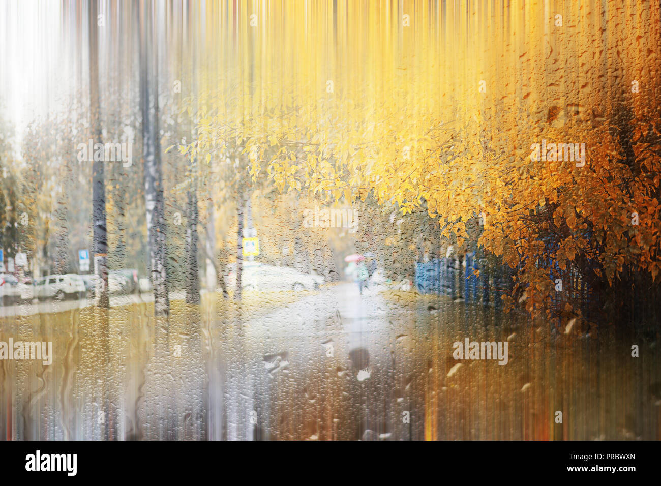 Background autumn rain in the park during the day Stock Photo - Alamy
