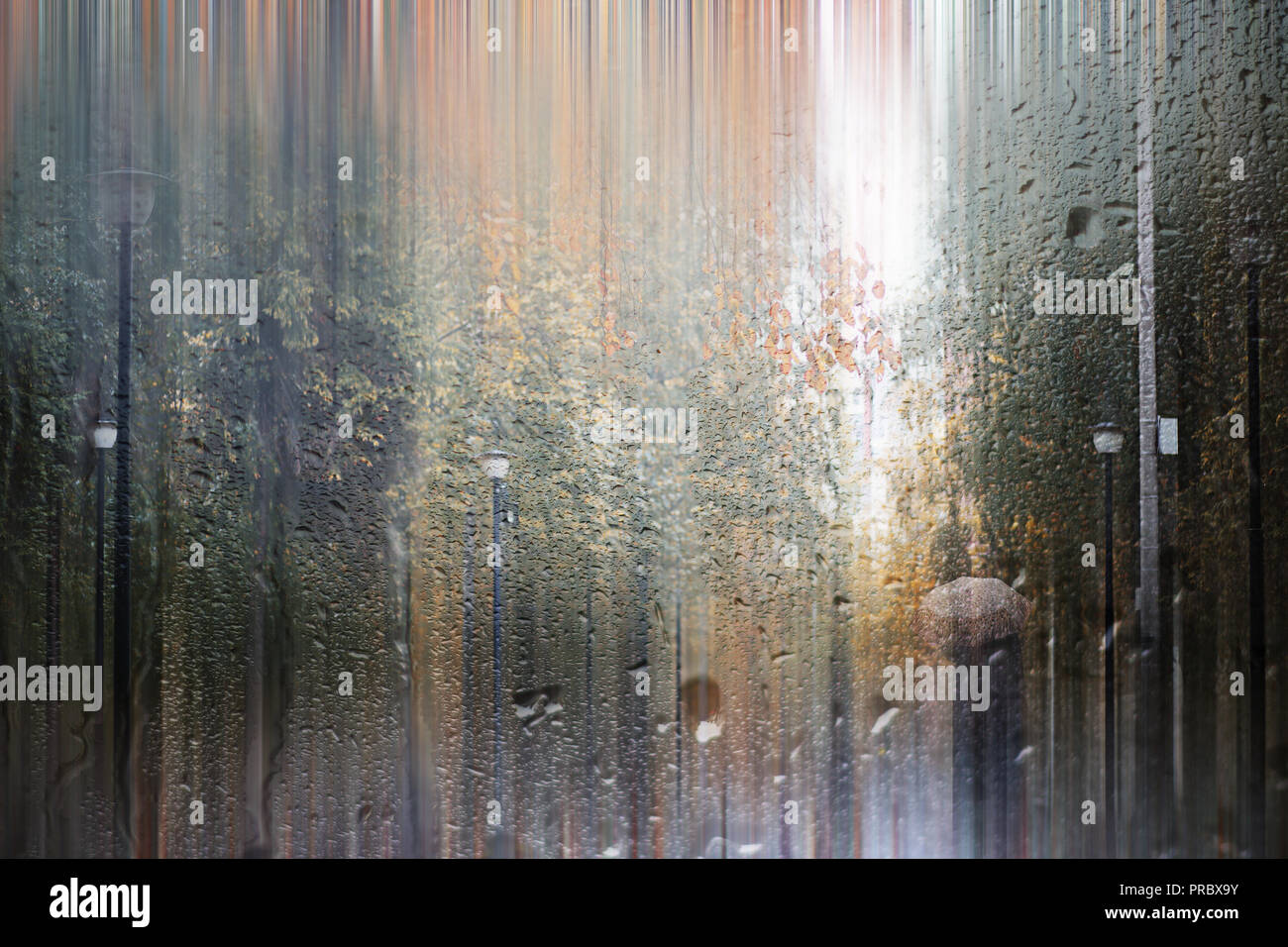 Background autumn rain in the park during the day Stock Photo - Alamy