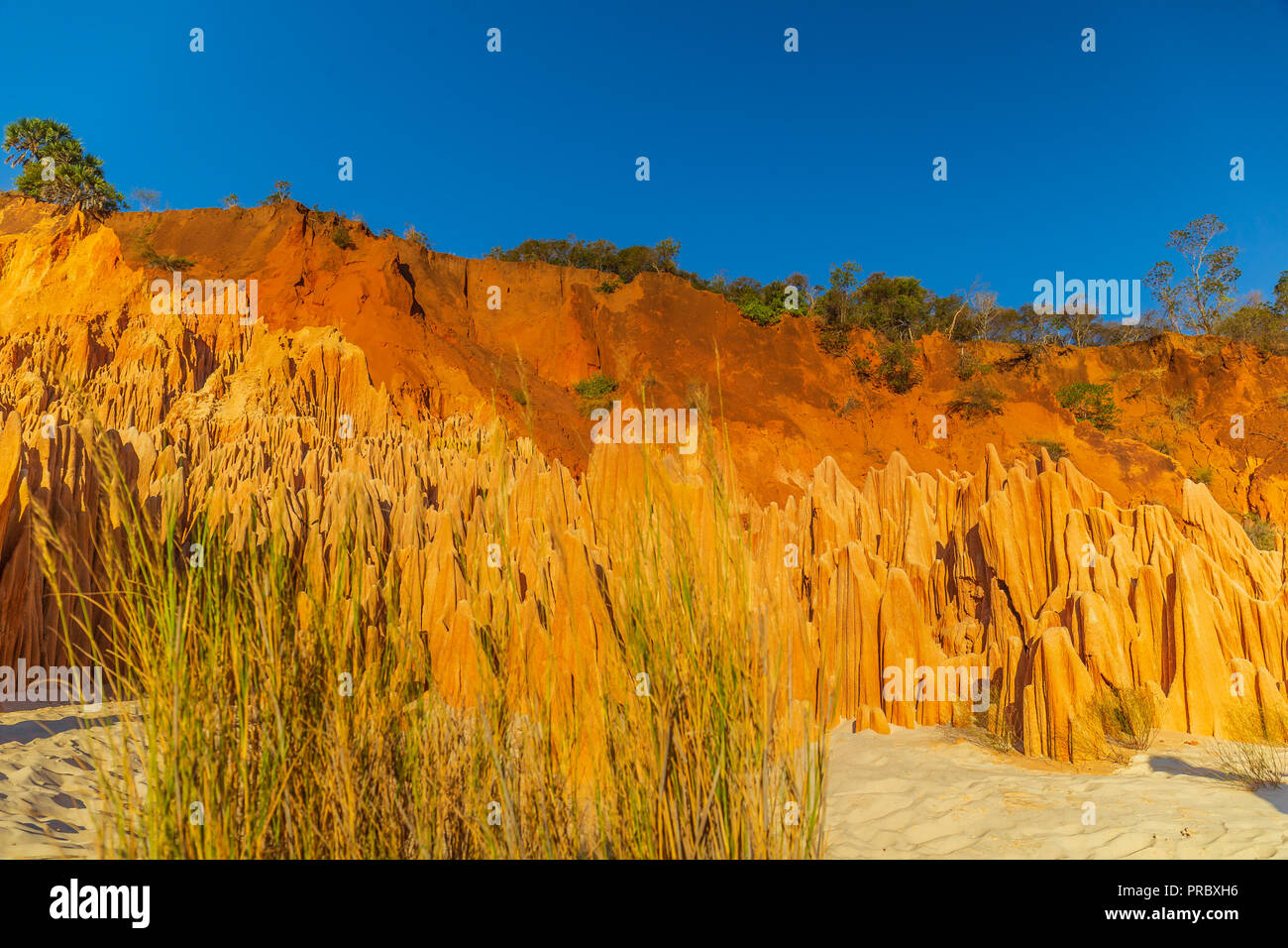 Iconic madagascar hi-res stock photography and images - Alamy