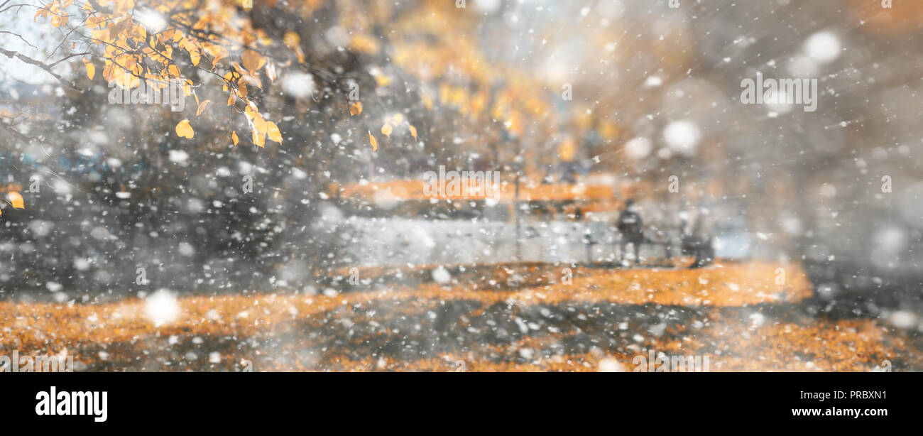 Background autumn park in the days of the first snow Stock Photo - Alamy