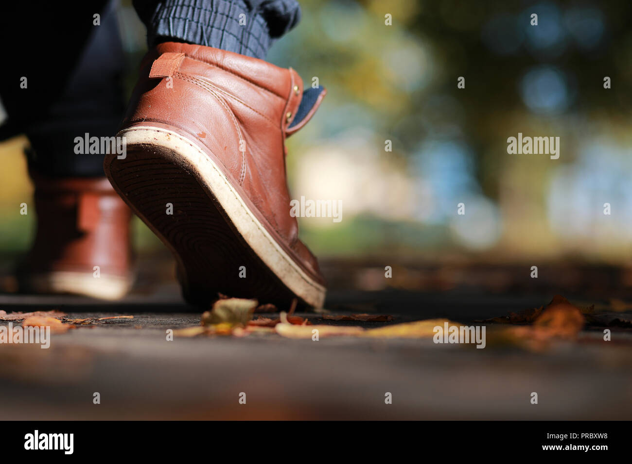 Autumn Park man walking along a path in foliage Stock Photo - Alamy