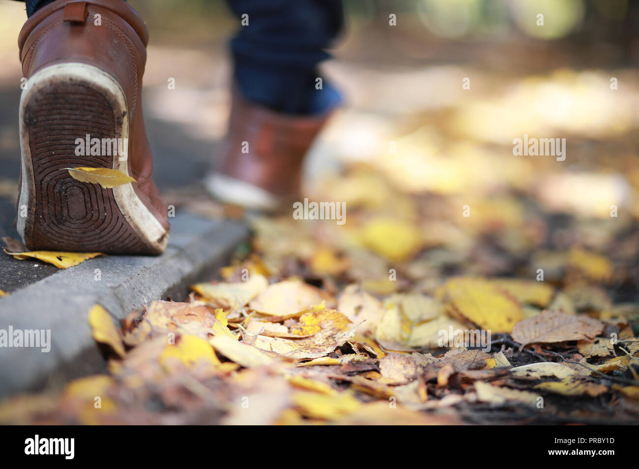 Autumn Park man walking along a path in foliage Stock Photo - Alamy